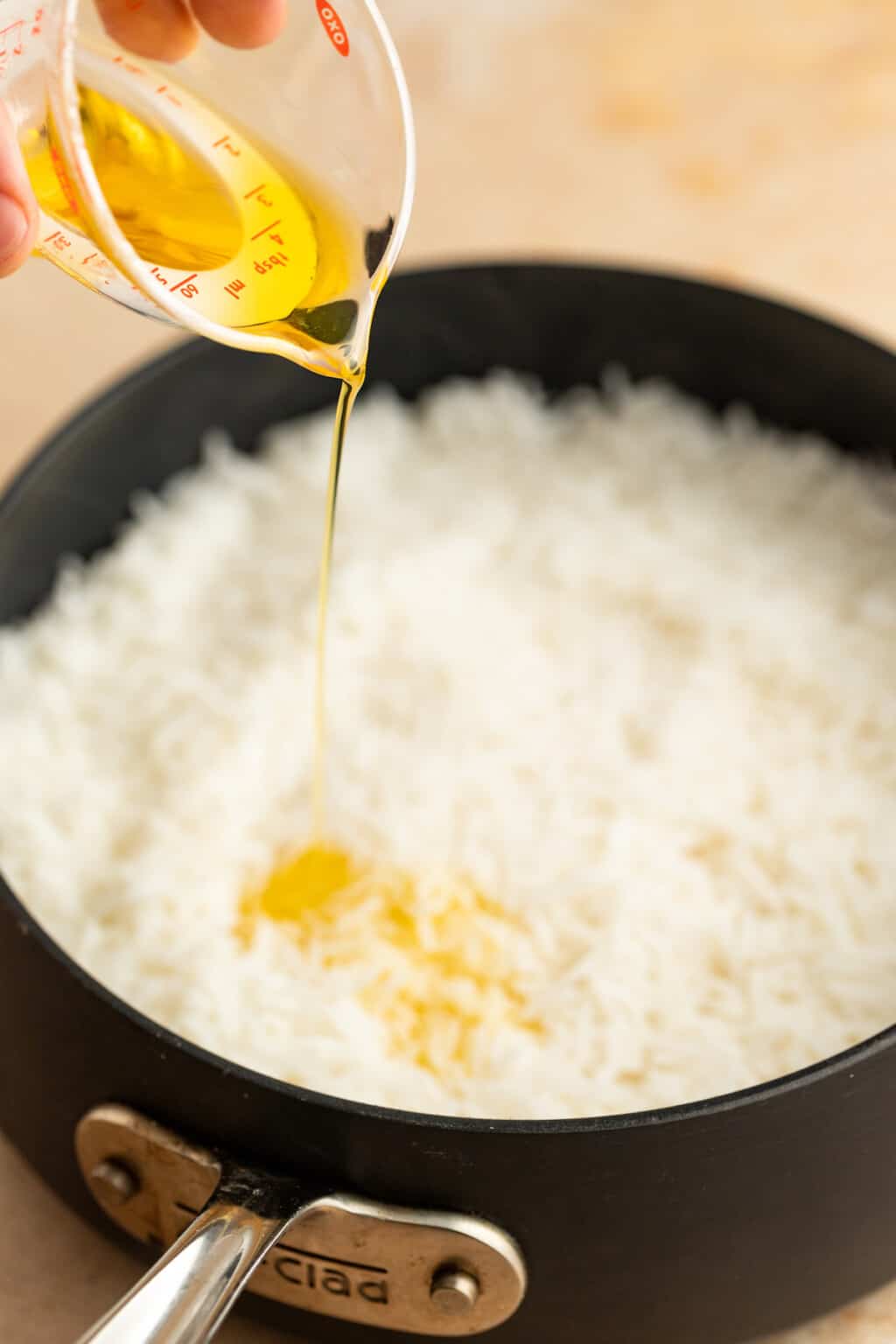 Tahdig Recipe (Crispy Persian Rice) | Diethood