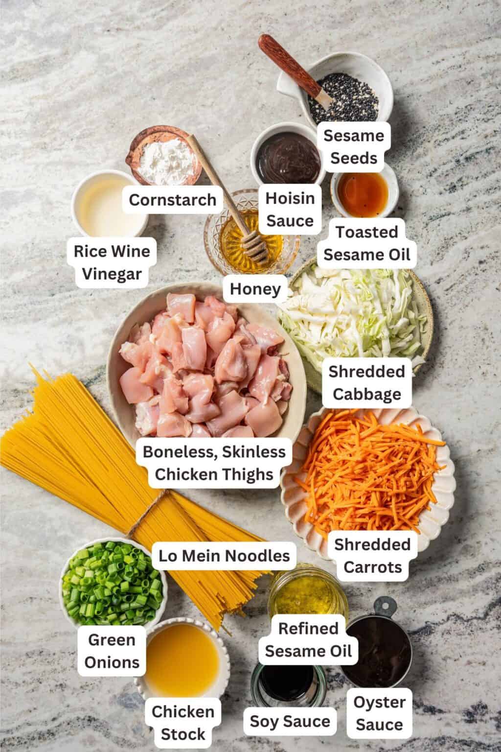 Chicken Lo Mein Recipe | Diethood