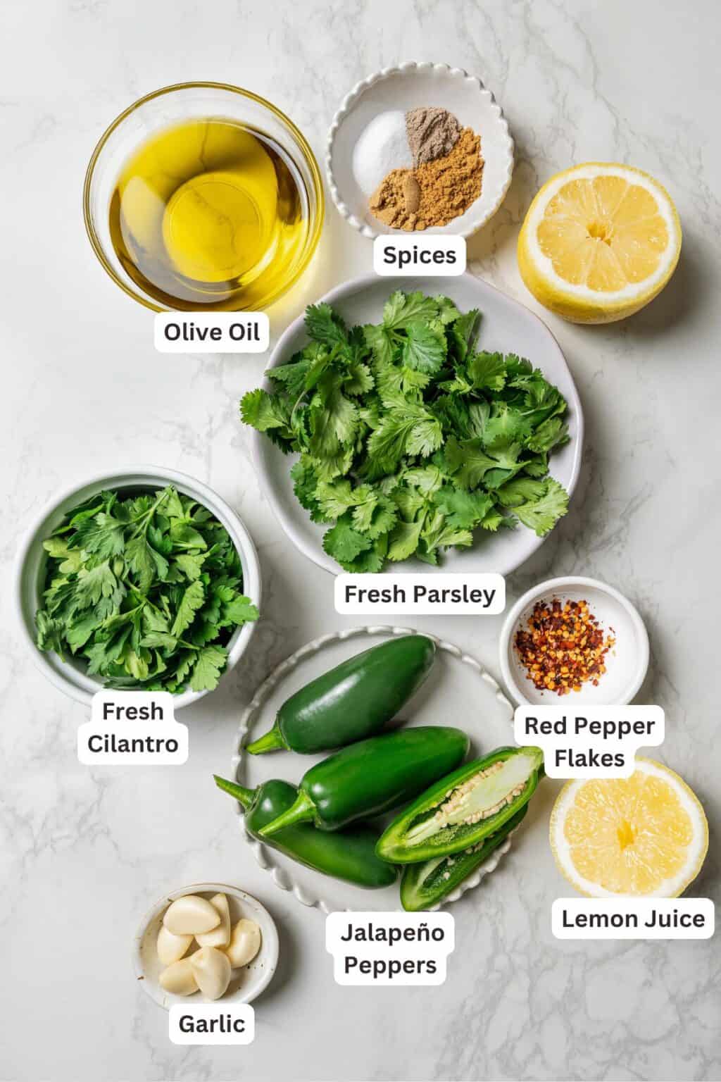 Homemade Zhoug Sauce (Spicy Cilantro Sauce) | Diethood