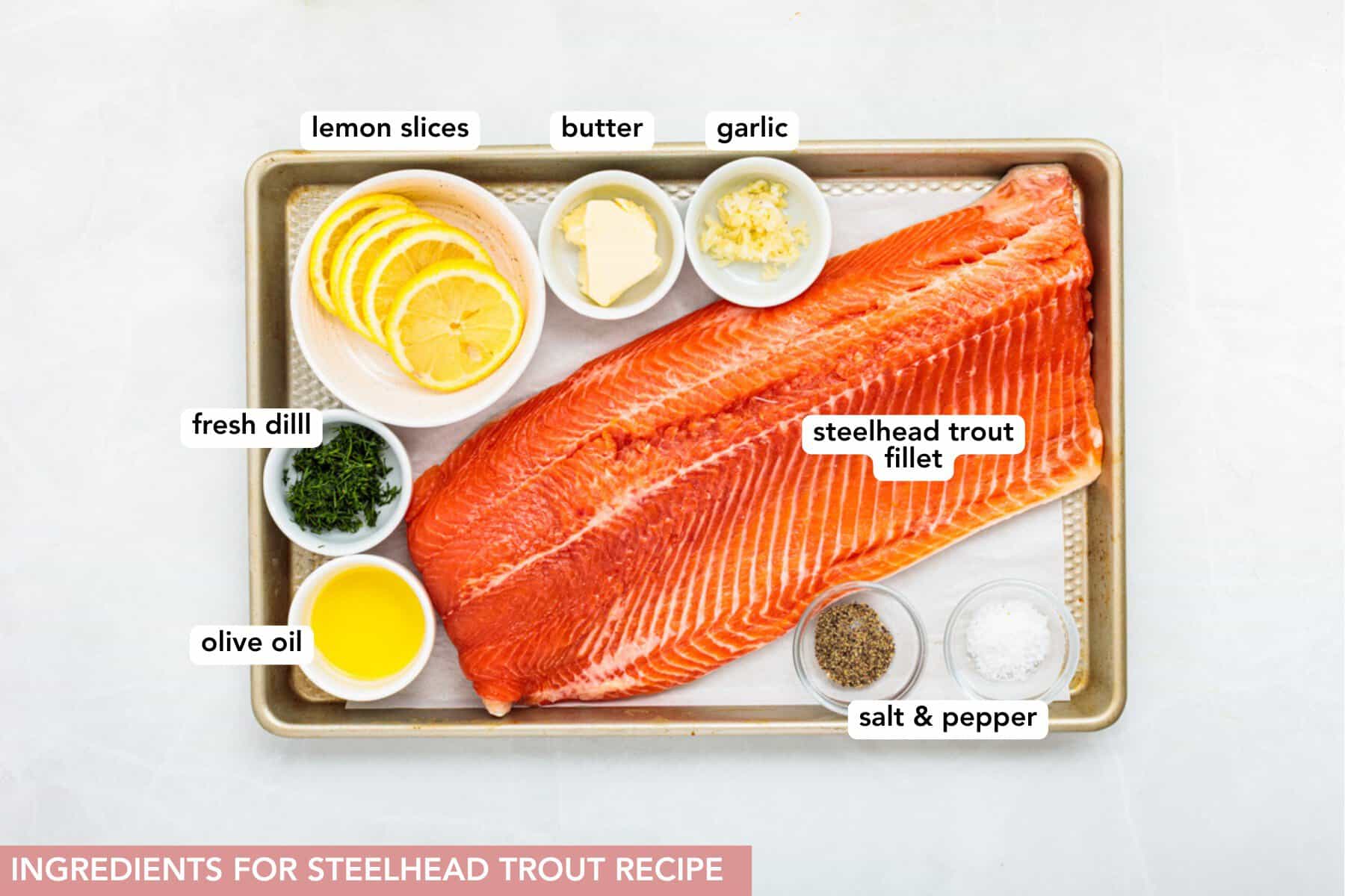 Steelhead Trout Recipe - Diethood